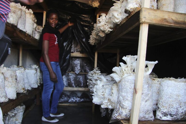 Chido Govera: The story of the Mushroom woman